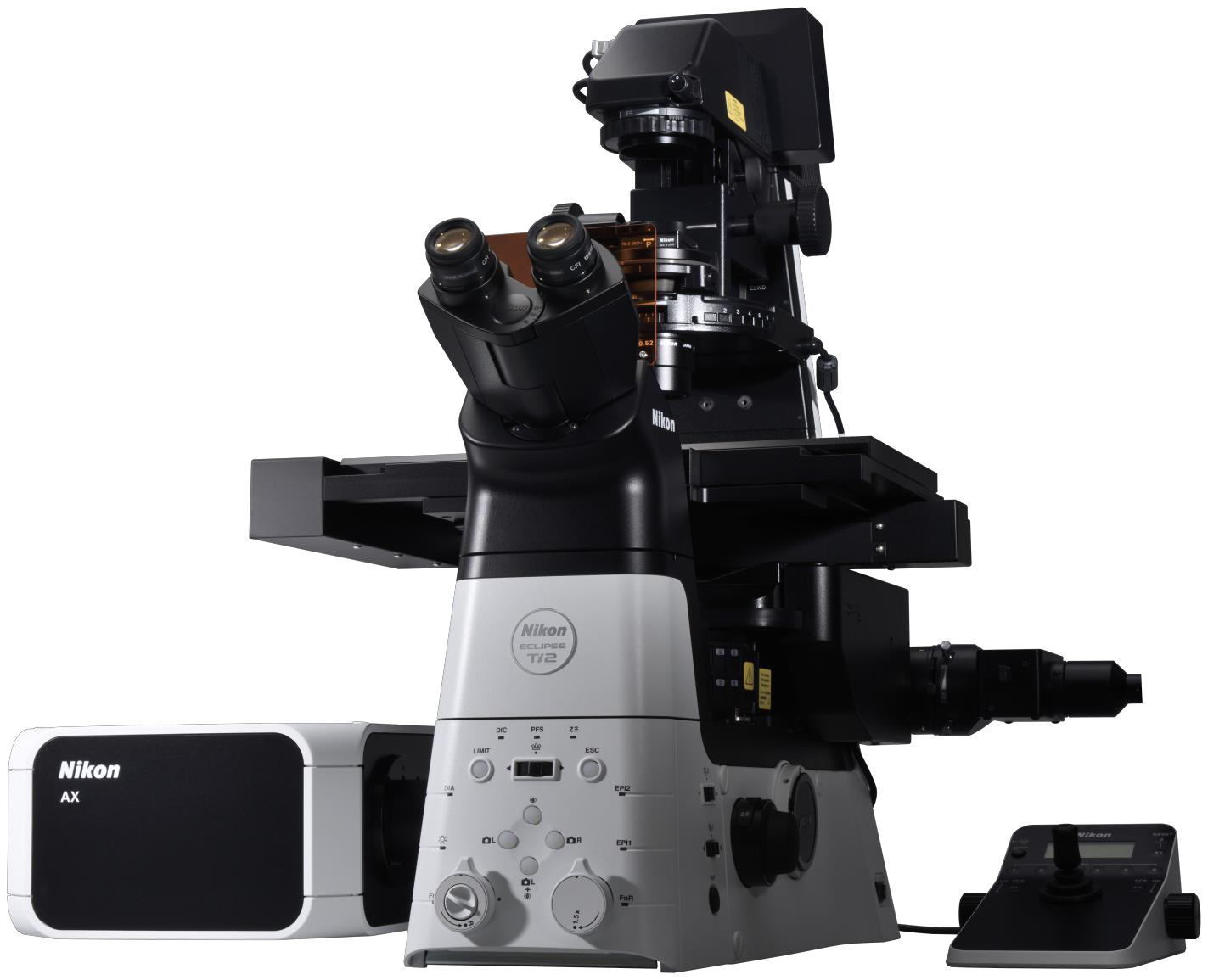 DURIP Success: Confocal Microscope System