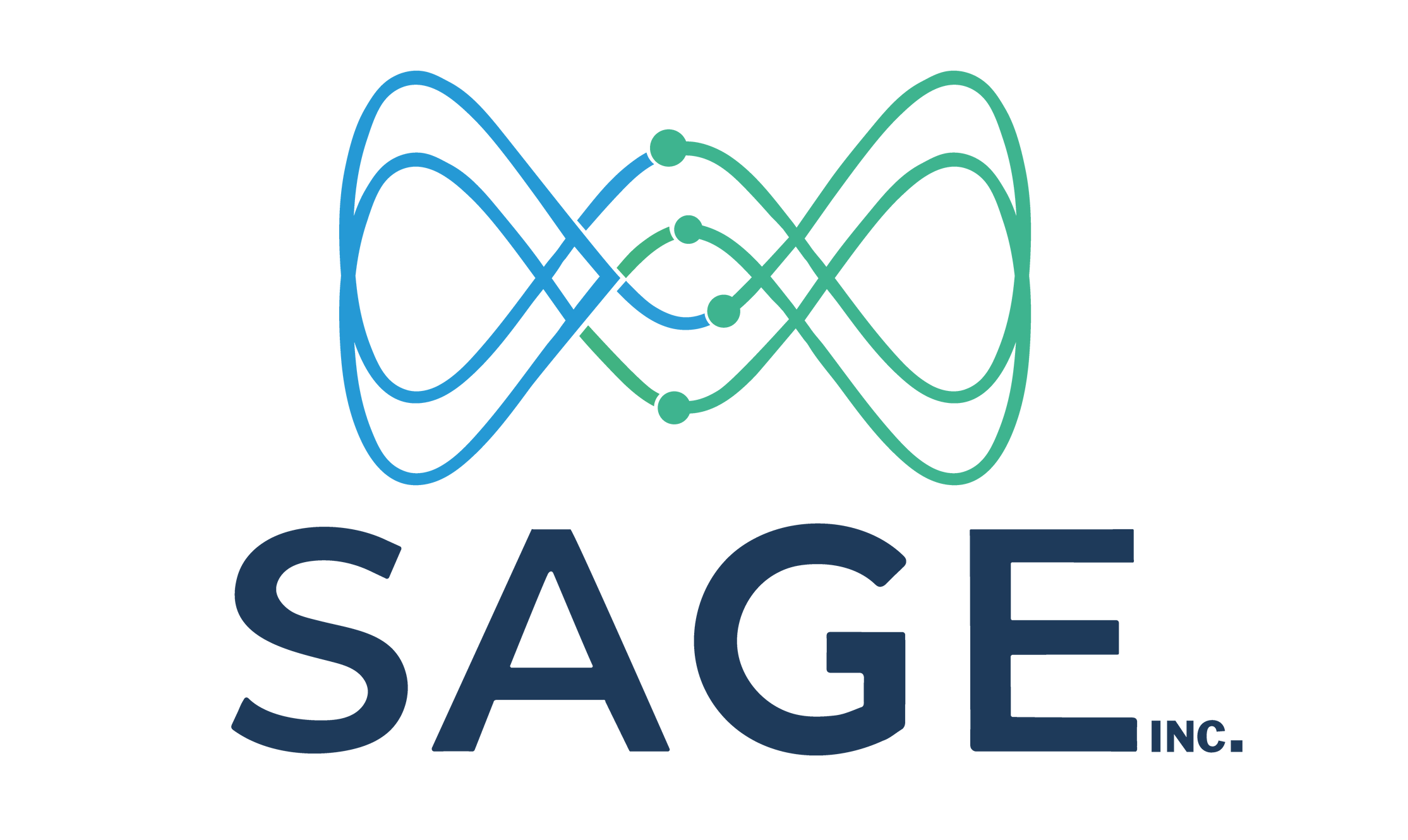 Sage Inc. | Technology, Cybersecurity and AI Services