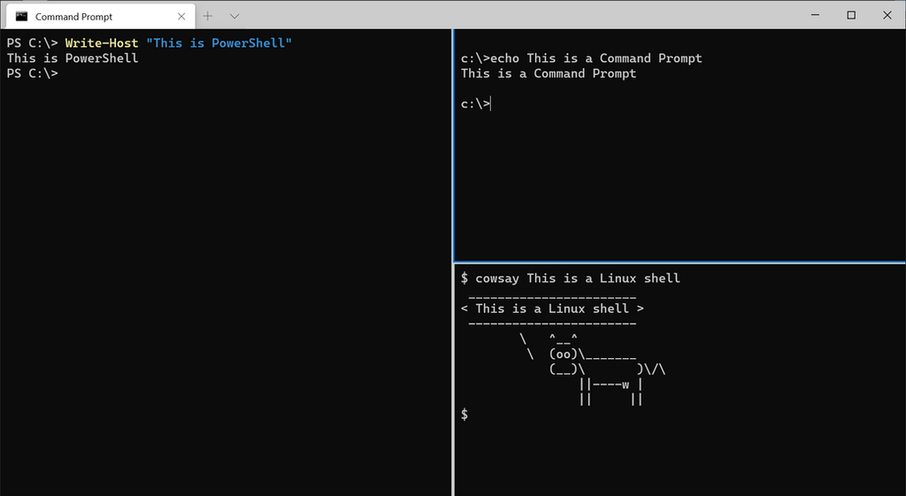 Blog | Command Line Wizardry