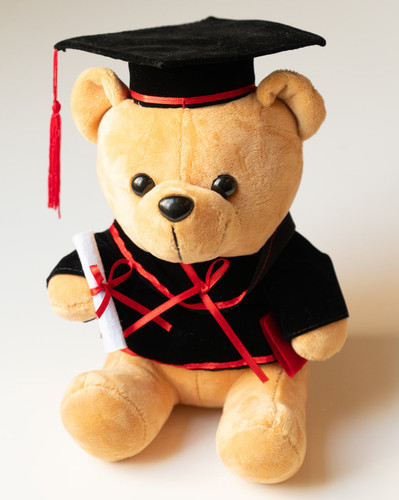 Graduation Bear | WAI
