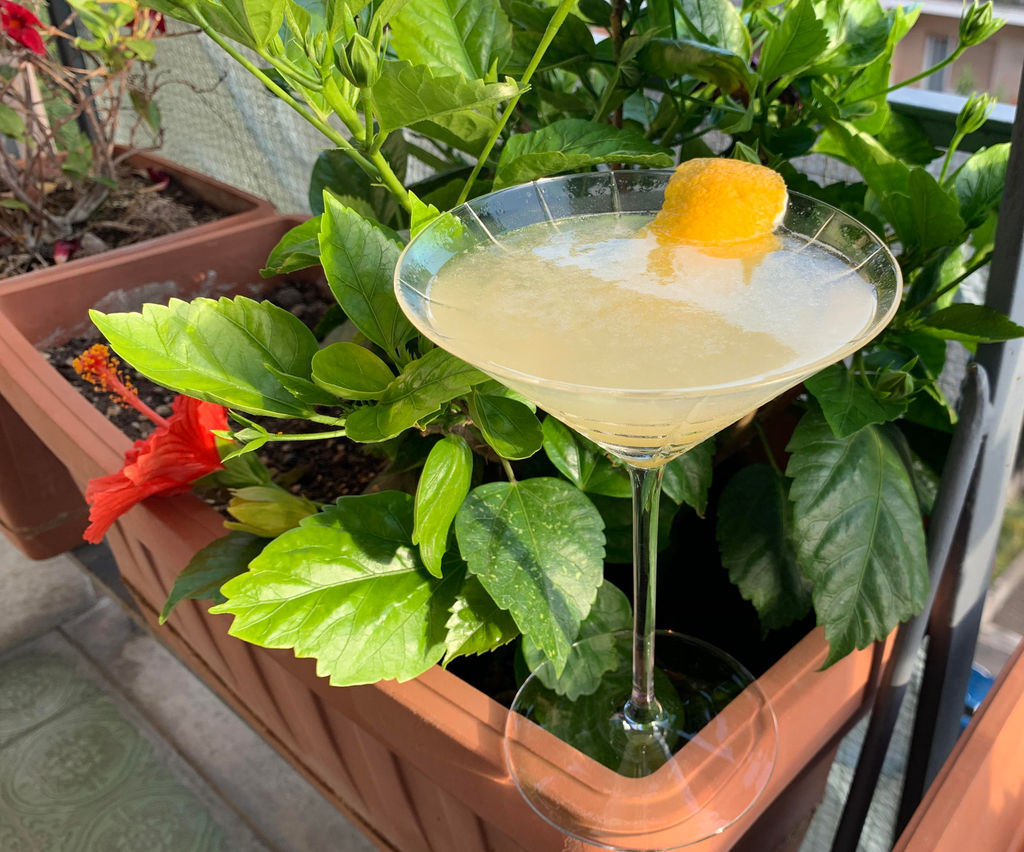 Theologian | Thomas D. Williams