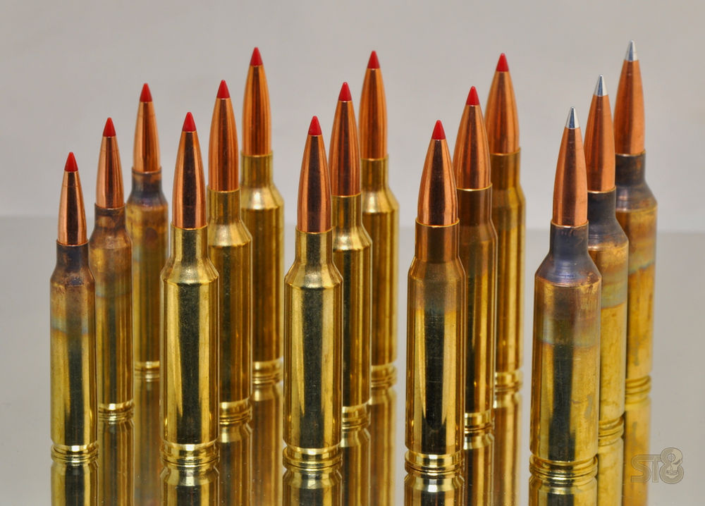 .223 Rem / 6mm CM / 6,5mm CM / .308 Win / 6,5 PRC