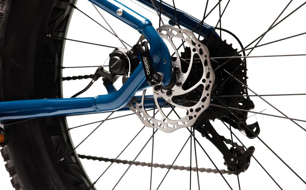 Moose Fat Bike 1 | Gendron Sports