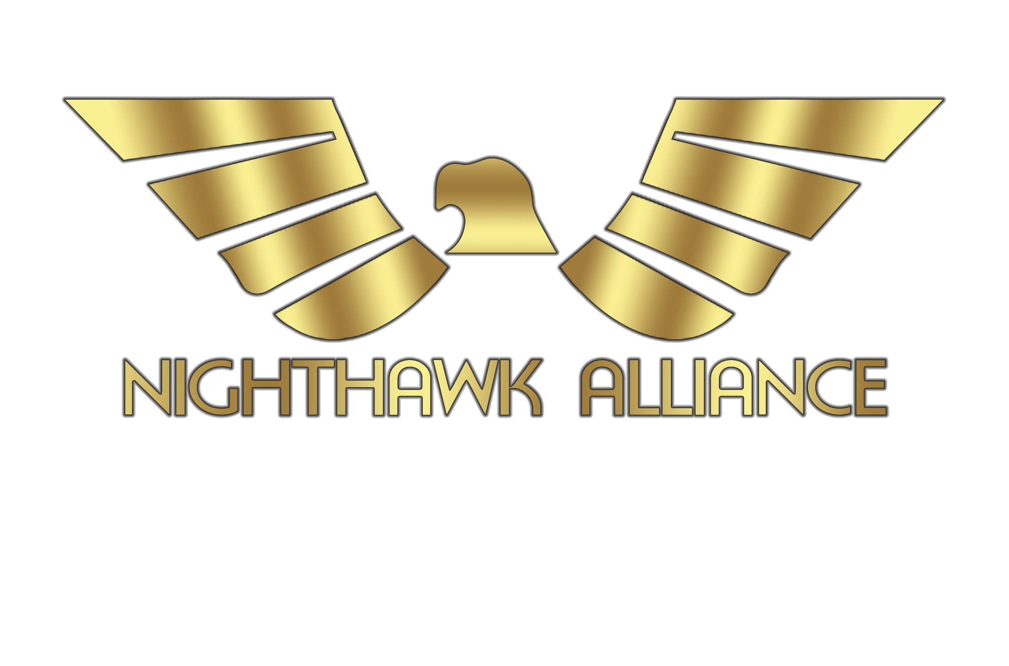 Nighthawk Alliance | Firearms Safety | Dallas-Fort Worth Metropolitan ...