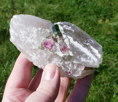 Watermelon Tourmaline crystals in quartz Matrix | Remnants Of Magic