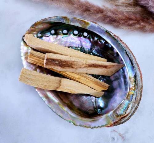 Palo Santo 5 inch Stick | Remnants Of Magic