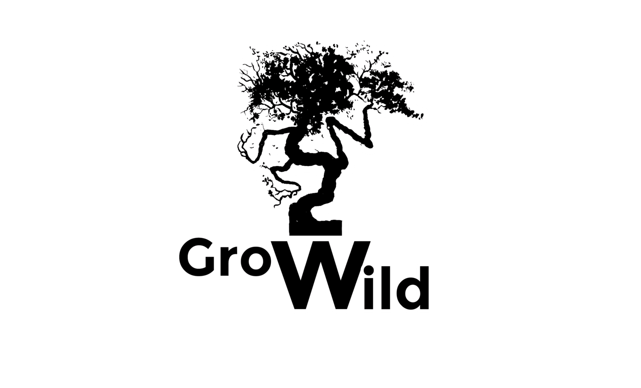 Grow Wild Outreach CIC