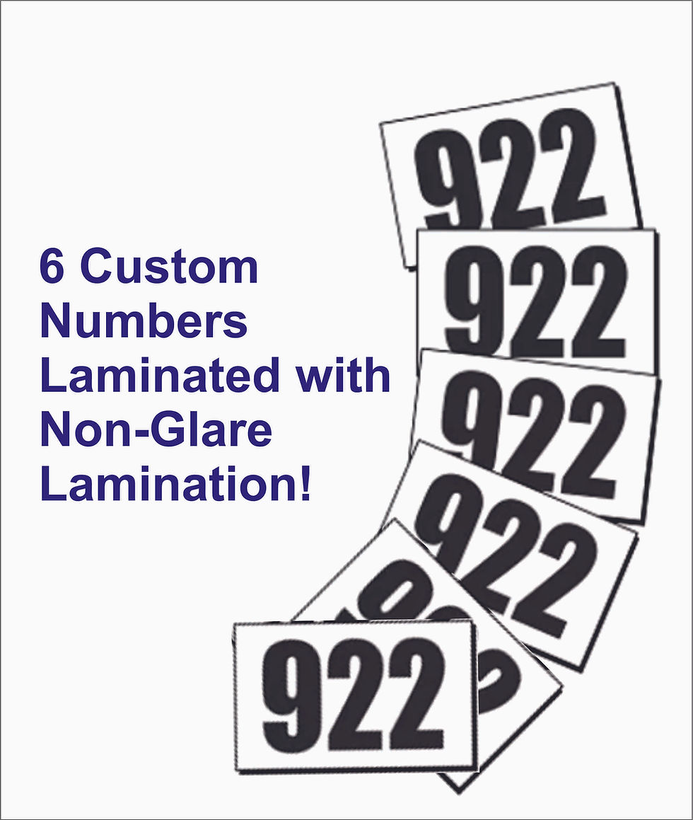 Individual Custom Back Numbers | Horse Show Supplies