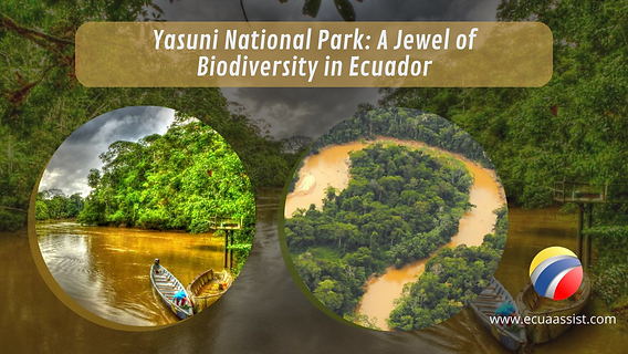 Yasuni National Park Yasuni National Park Ecuador