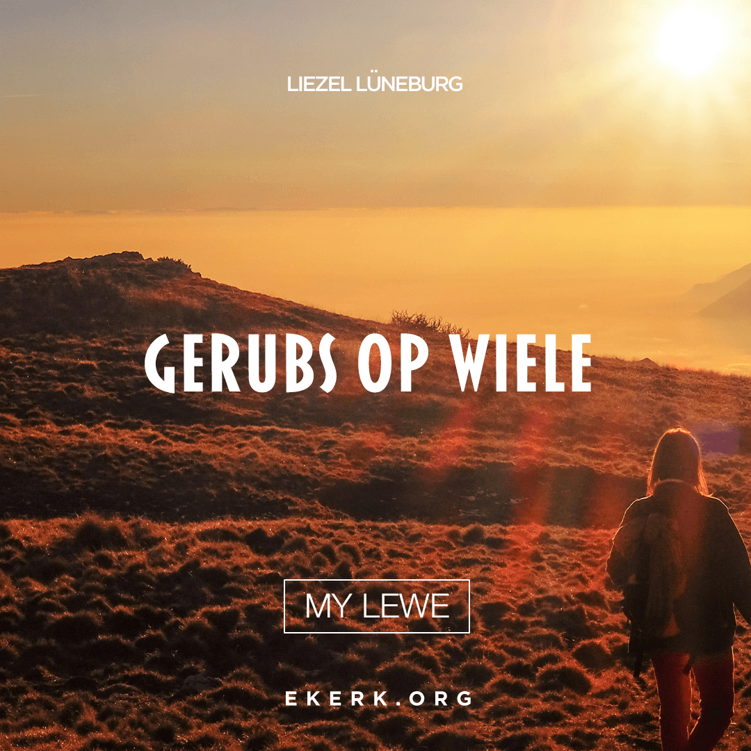 Gerubs op wiele