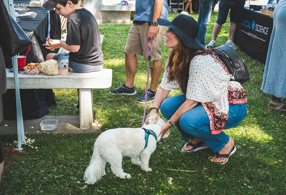 Page for after BF | Bridgefestorg