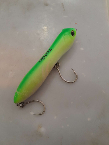 Isca Artificial Imakatsu Trairao 130(usada) | Cemporcentopesca