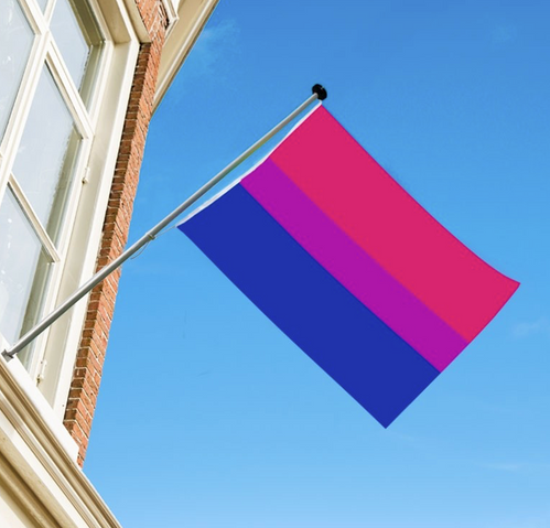 Bi-pride flagg⎪Regnbueflagget⎪Flaggbutikk