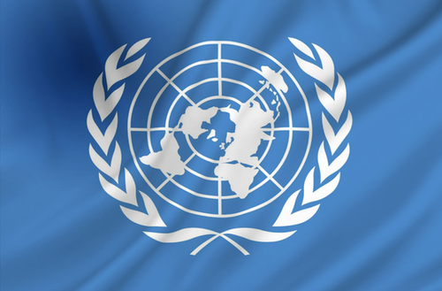 Flagg FN ⎪De Forente Nasjoner⎪Flaggbutikk