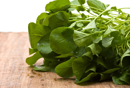 Upland Cress | Vegetable Seeds