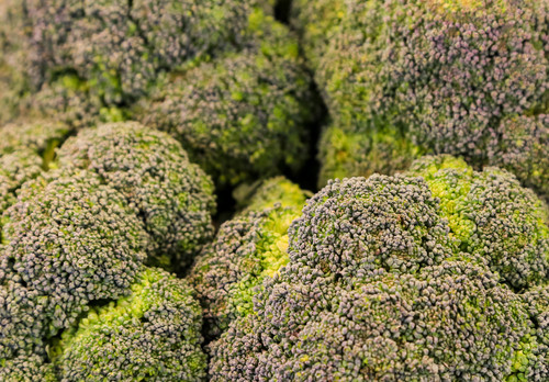 Green Sprouting Calabrese | Vegetable Seeds