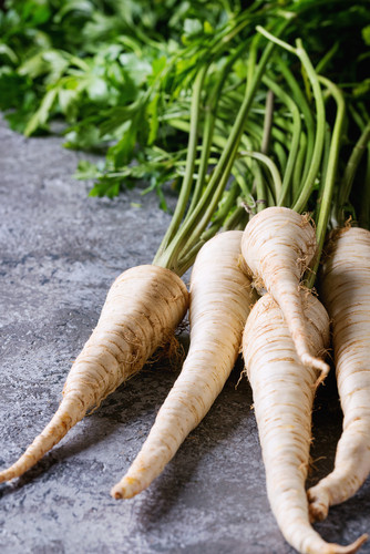 Harris Model Parsnip | Seeds for the South