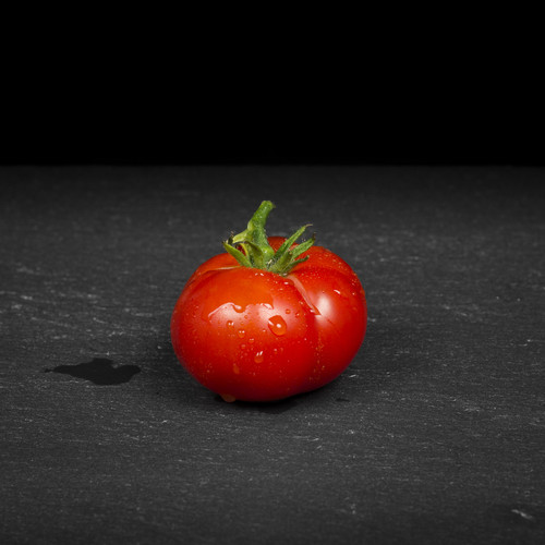 Marglobe Supreme Tomato | Seeds for the South