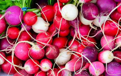 Easter Egg Radish Mix | Seeds for the South