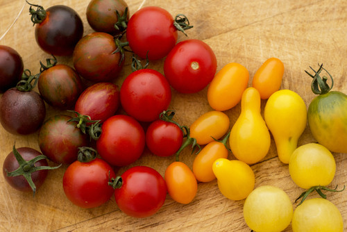 Rainbow Cherry Tomato Mix | Seeds for the South