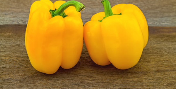 Golden California Bell Pepper | Seeds for the South