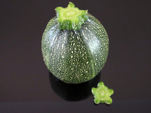 Round Zucchini | Seeds for the South