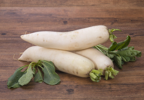 Daikon Radish | Seeds for the South