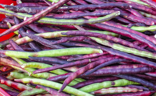 Pinkeye Purple Hull Cowpea | Seeds for the South