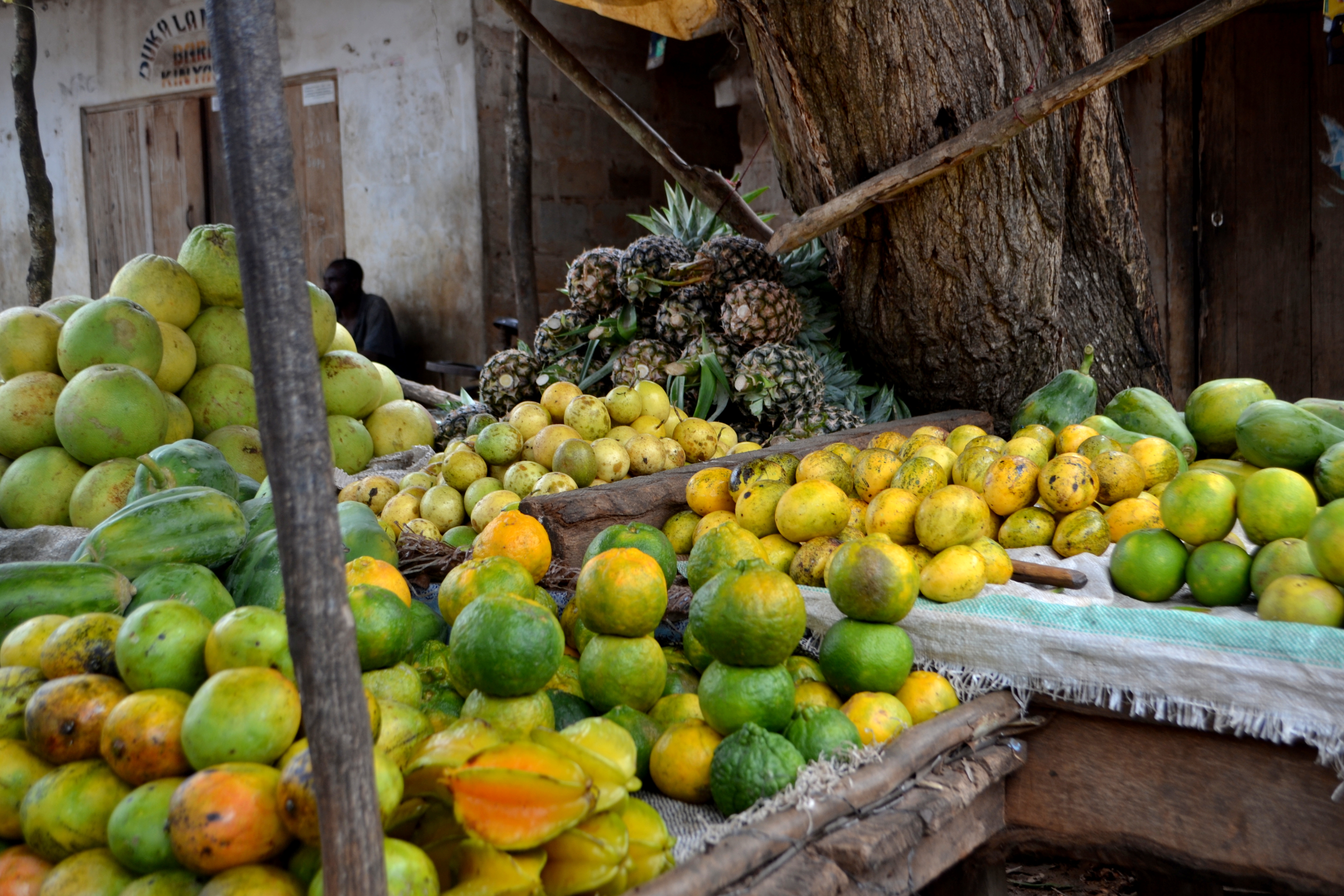 Zanzibar Cycling Adventures- tours in zanzibar, activities in zanzibar