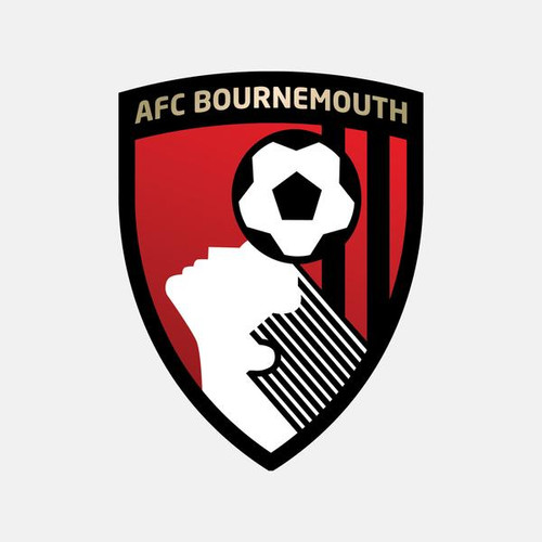 *AFC BOURNEMOUTH v NEWCASTLE UNITED 2024/25 Premier League* | CHELSEA ...