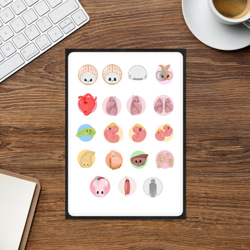 Cute Organs Sticker sheet | Sherringford LLC