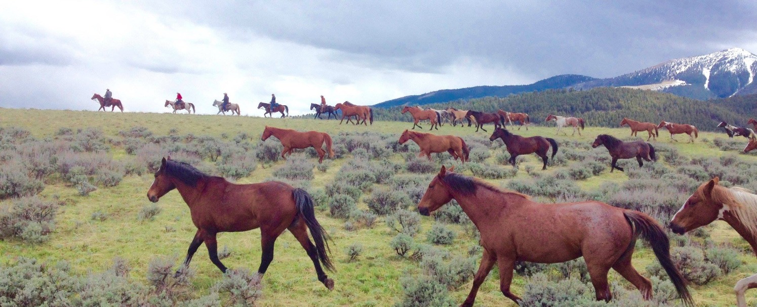 World Famous Horse Drives | Horse Riding Holidays | Silver Spur Ranch