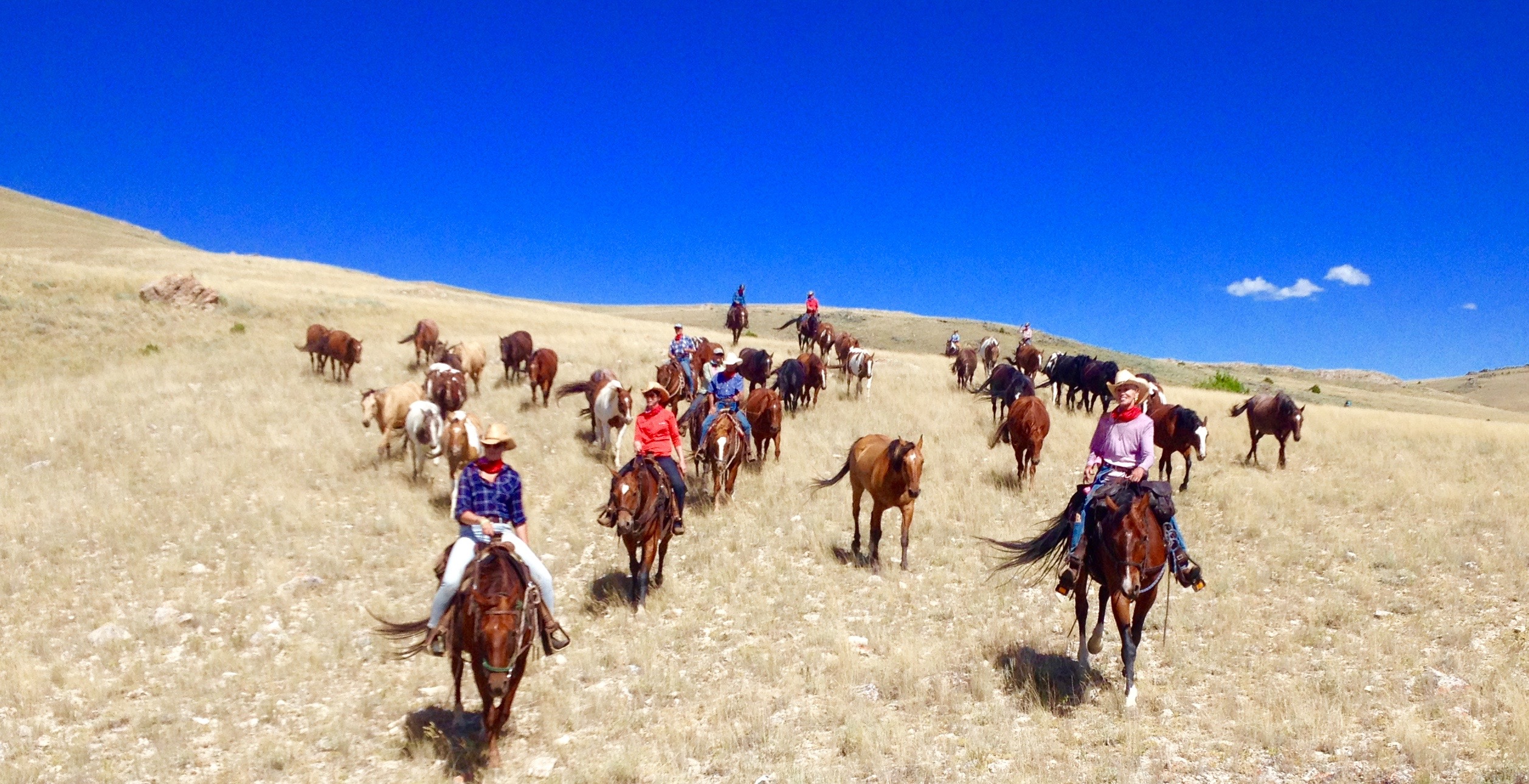 World Famous Horse Drives | Horse Riding Holidays | Silver Spur Ranch