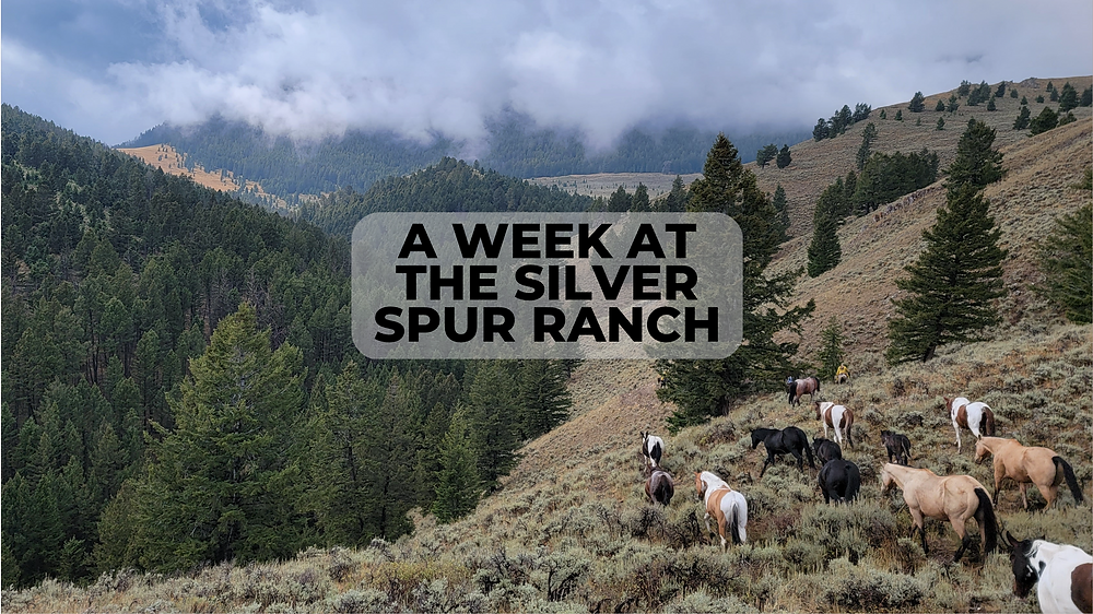 A Week At The Silver Spur Ranch