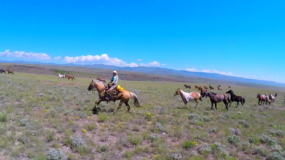 Silver Spur Ranch | World Famous Horse Drives | Idaho