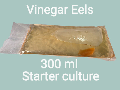 Vinegar Eel Starter Culture (300 ml) | Phillips Fish Works