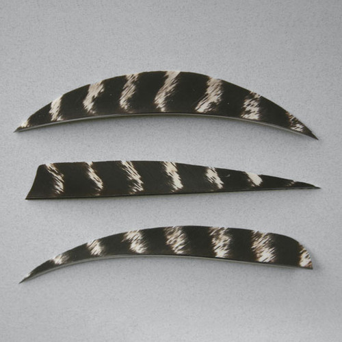 Wild Turkey Die Cut Arrow Fletching (5.5") - 3 dozen | Custom Feathers