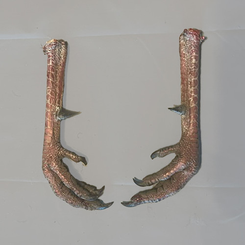 Wild Turkey Feet w/Spur 15/16" - 1" - 1 pair | Custom Feathers