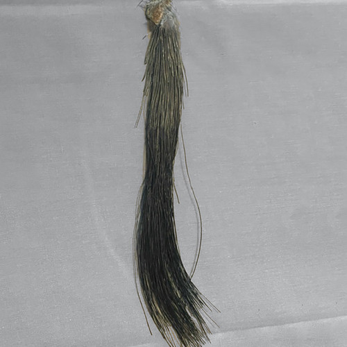 Wild Turkey Beard - (6”- 8") | Custom Feathers