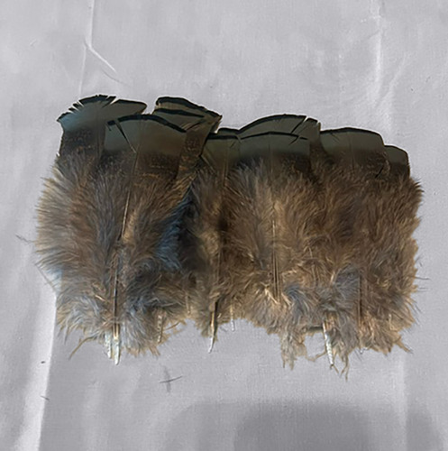 Wild Turkey Scapular Feathers 1 Dozen | Custom Feathers