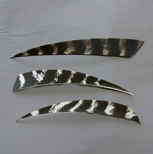 Wild Turkey Die Cut Arrow Fletching (5") - 3 dozen | Custom Feathers