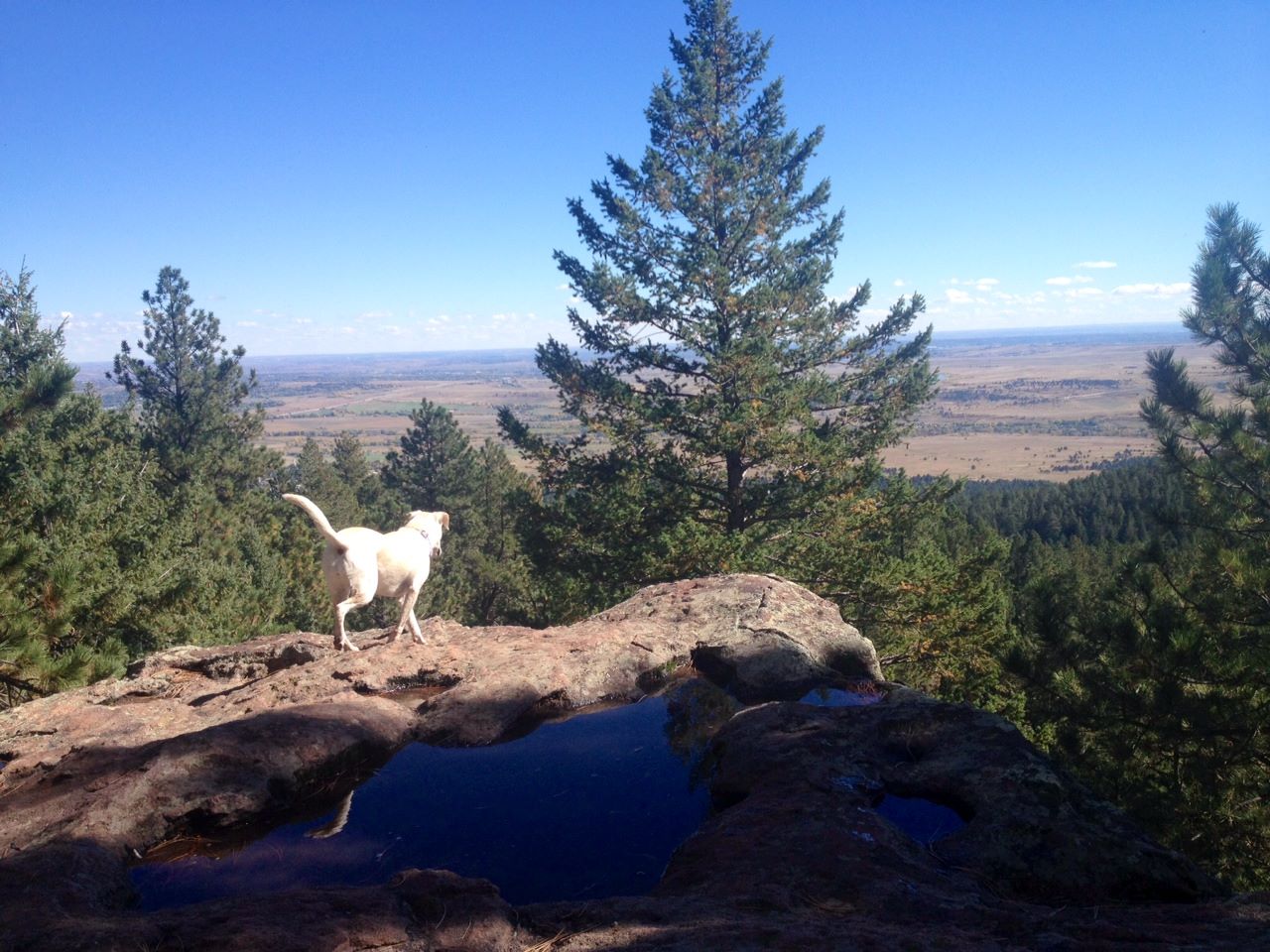 Boulder Doggie Adventures