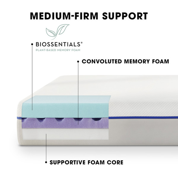Mattresses | Dream Serenity