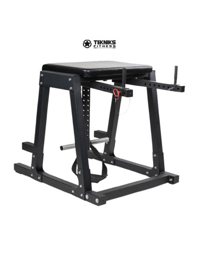 Reverse Hyper Machine | Tekniks Fitness
