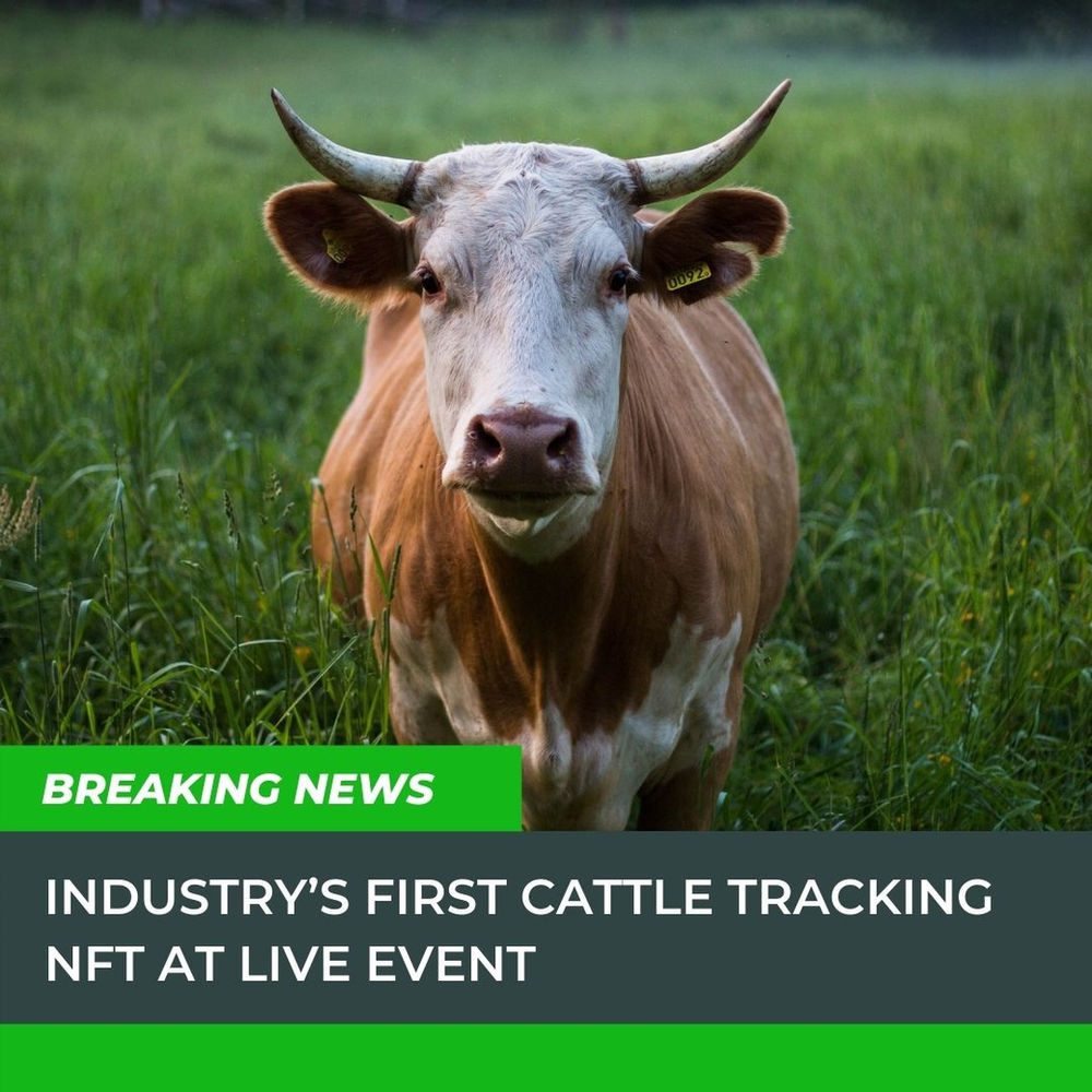 Tracking Cattle as Digital Assets