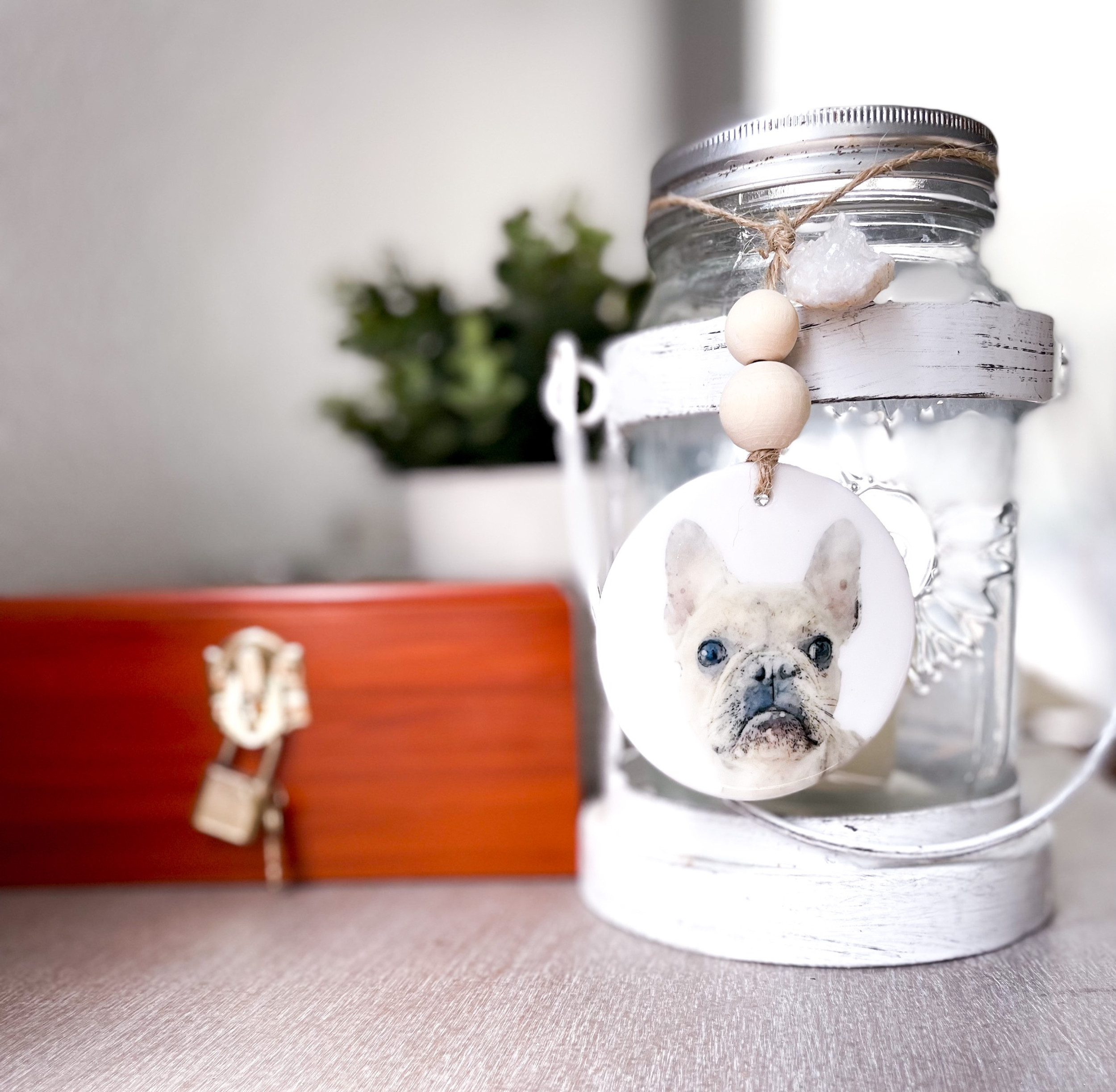 At Home Euthanasia for Pets: A Choice I Made For My Dog