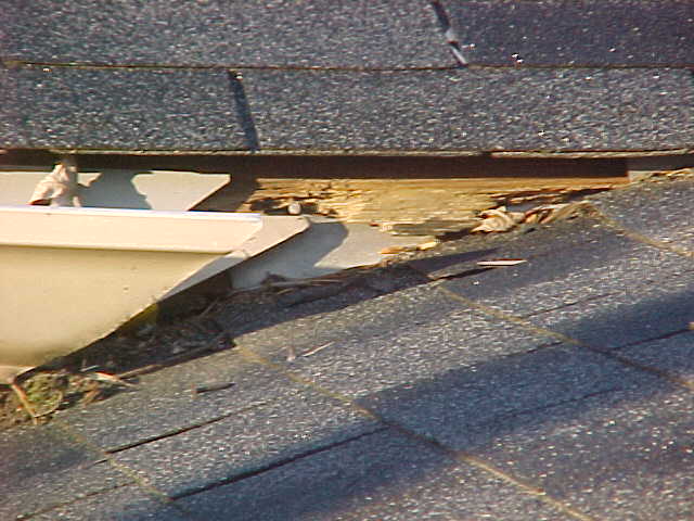 Roof Drainage | stormwater