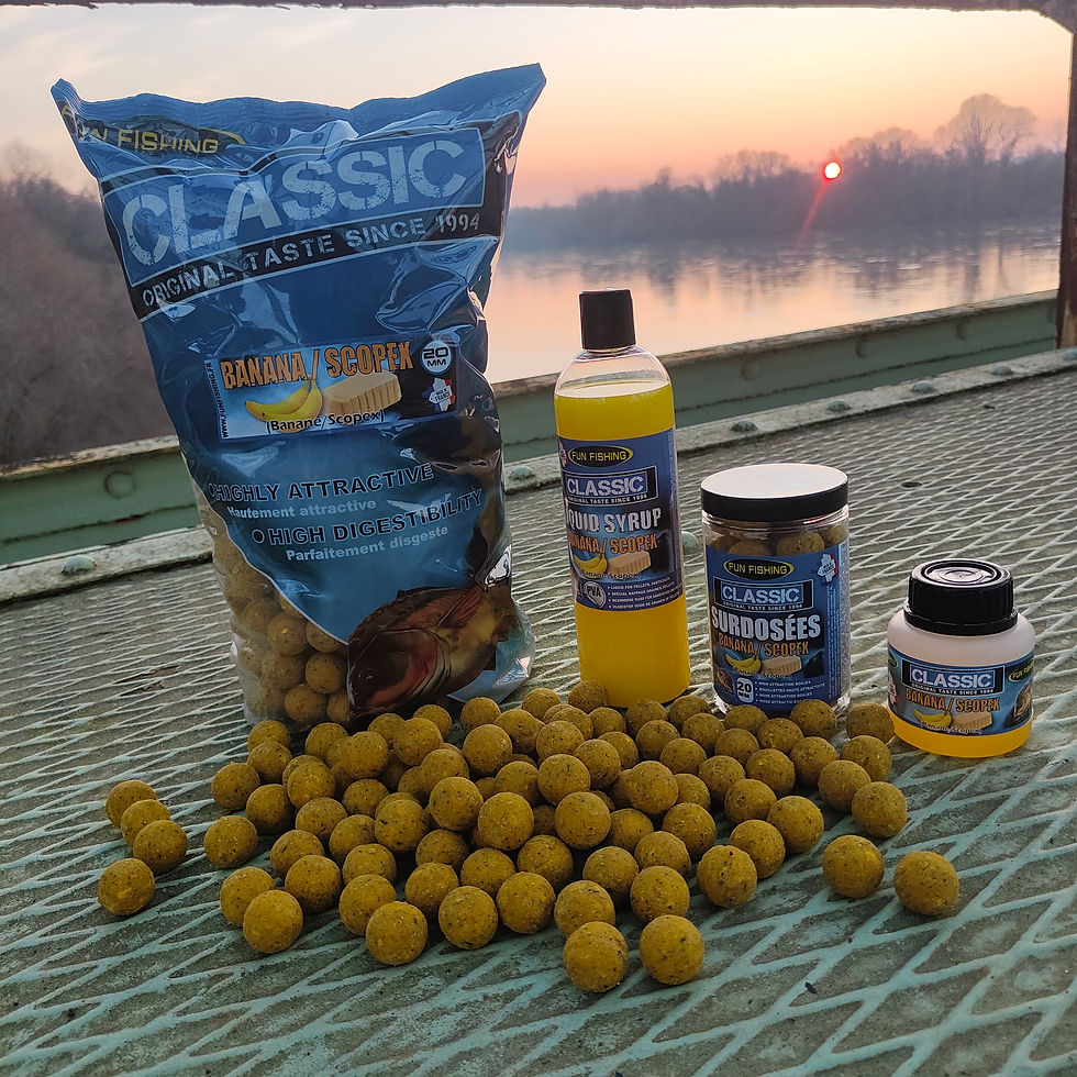 Appâts Carpe | Fun Fishing