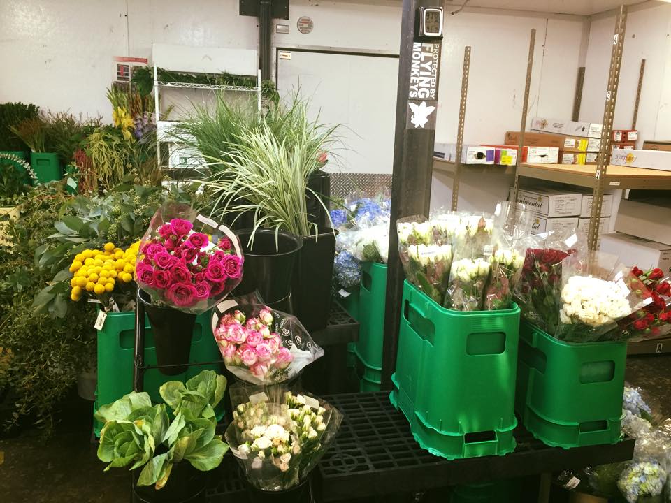 OUR WAREHOUSE | wegotflowers