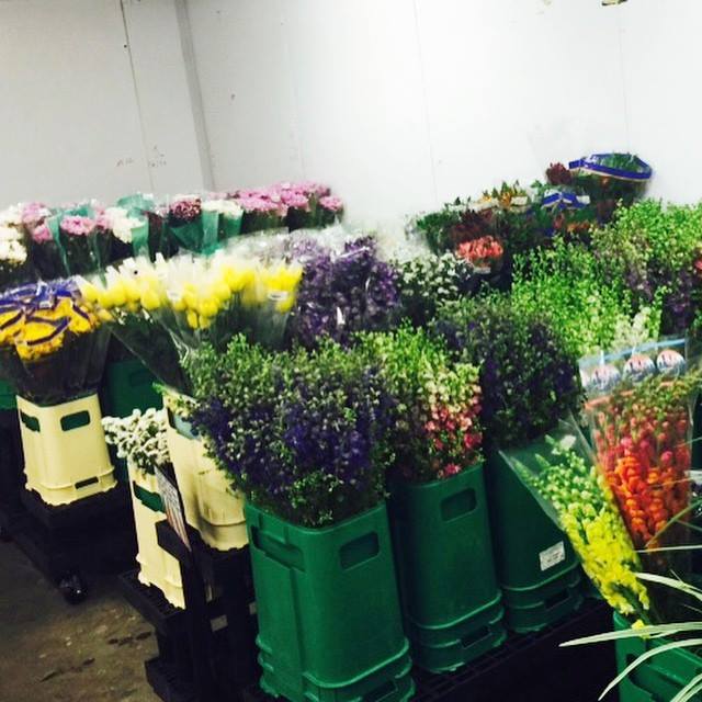 OUR WAREHOUSE | wegotflowers